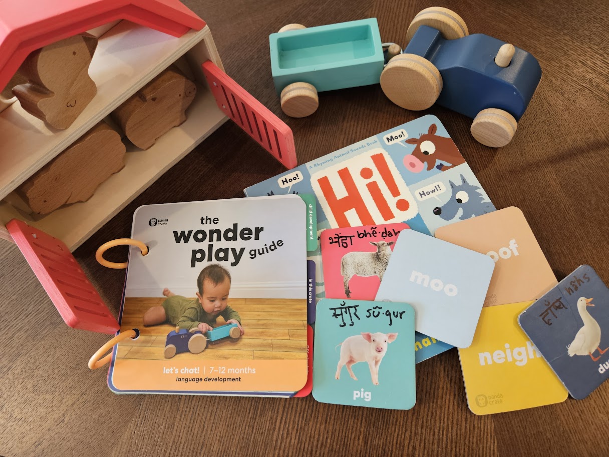 Kiwico Review 5: Kiwico crate, Chat with Me With Book Bundle Book HI ...